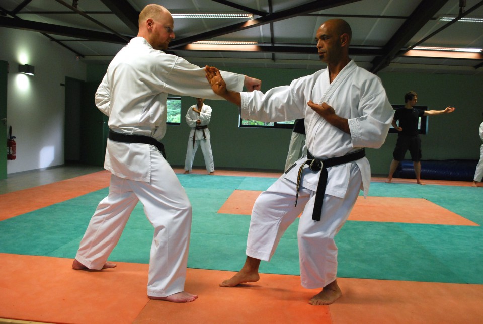 Les défenses (Uke Waza)